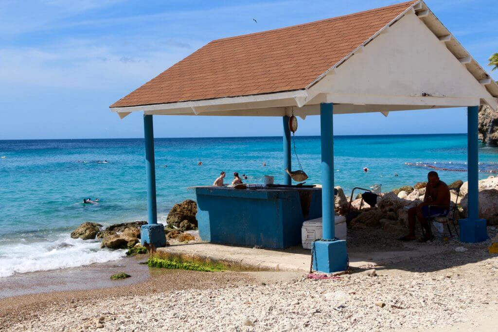 Swim with Sea Turtles at Playa Piskádo - for FREE! - The Novel Tourist